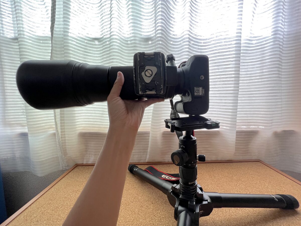 三脚ケース付き｜ベルボンのトラベル三脚「UT-63II」が旅行におすすめな話 | フォトロマ